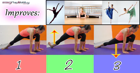 Dance Zaichik Stretch for Adductor Gracilis Muscle – EasyFlexibility