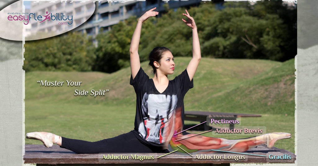 No Daily Progress??? – EasyFlexibility