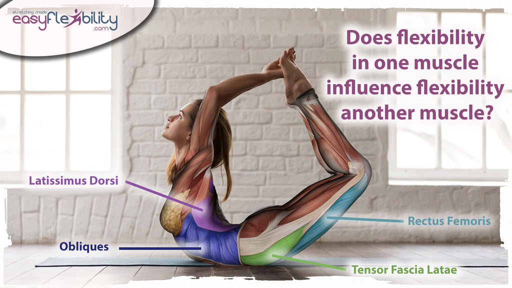 Can You Be Muscular And Flexible