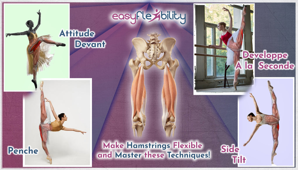 Hamstrings tightness - Zaichik Stretching Technique – EasyFlexibility