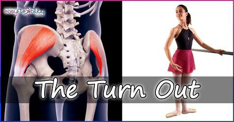 Strength in Flexibility: Turnout – EasyFlexibility