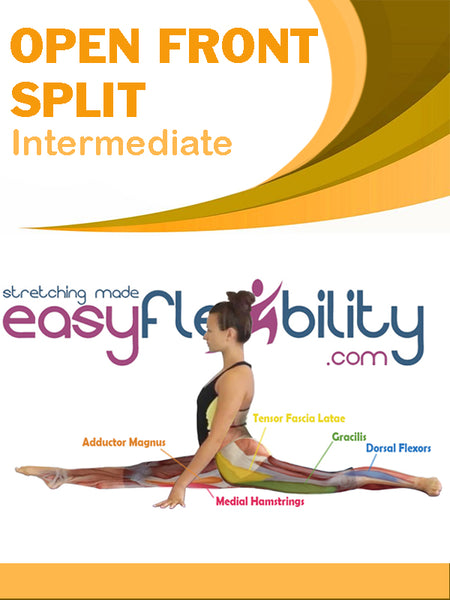 Open Front Splits Intermediate – EasyFlexibility
